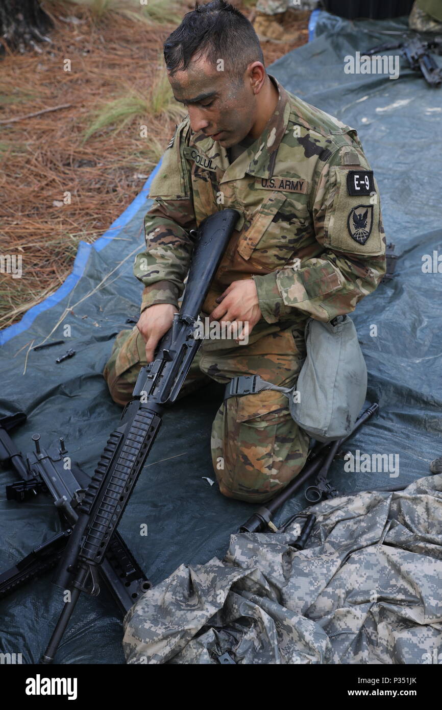 U.S. Army Reserve Spc. Nicolas Cholula, a combat documentation ...