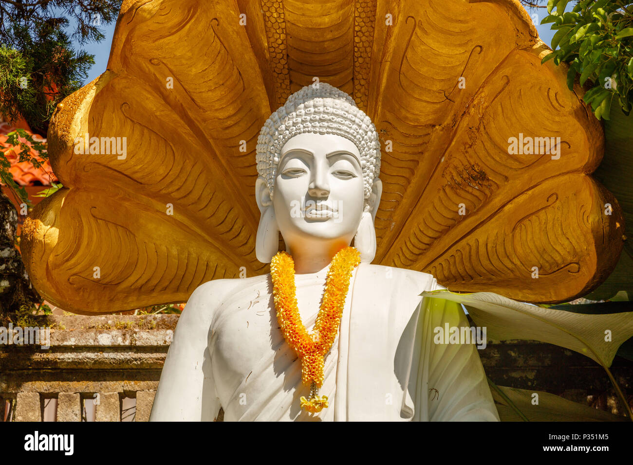 Statue of Sitting Buddha at Vihara Dharma Giri, Buddhist temple in the ...