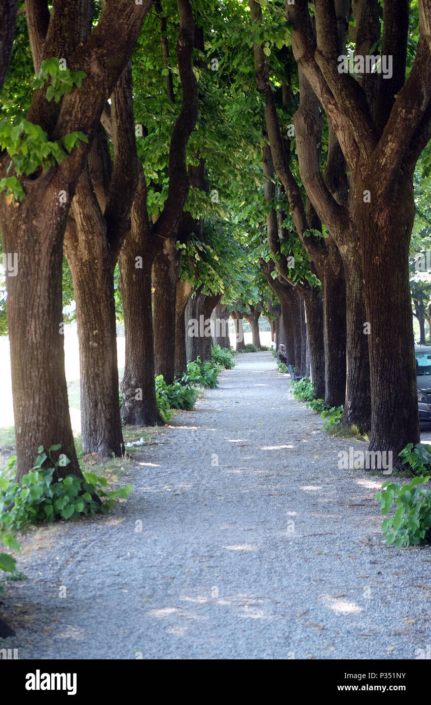Pavement promenade hi-res stock photography and images - Alamy