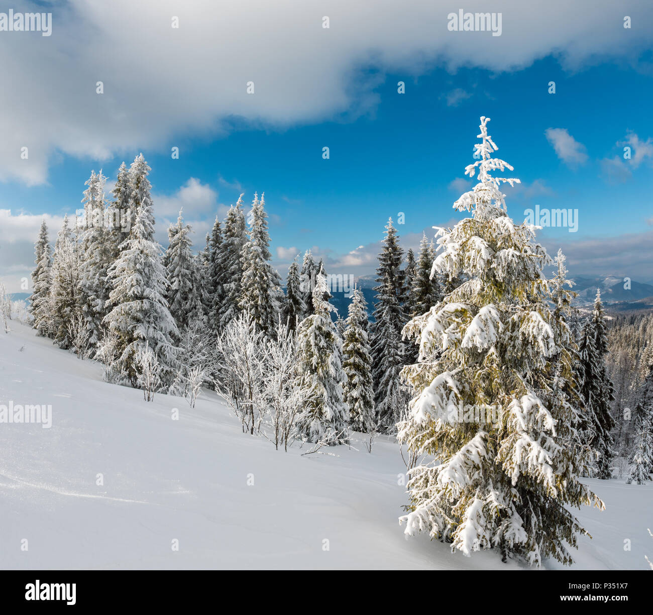 Winter calm mountain landscape with beautiful frosting trees and ...