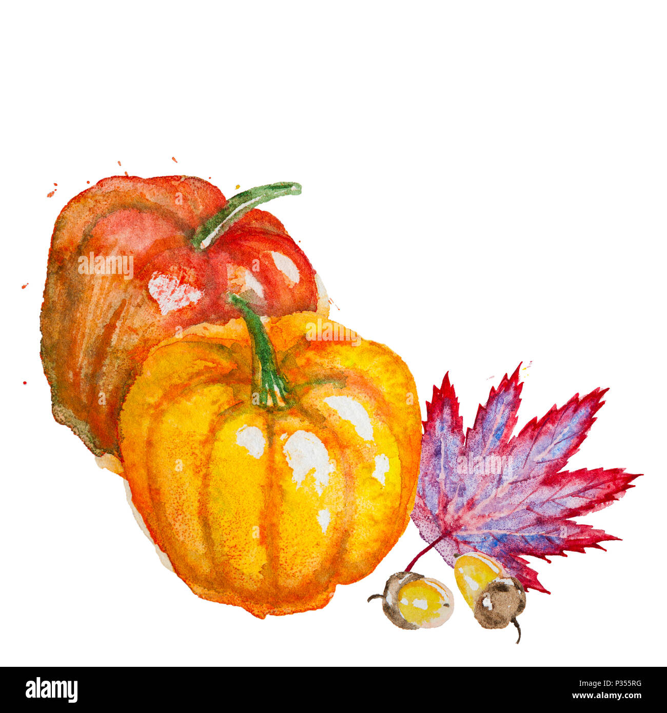 Watercolor illustration acorn leaf Cut Out Stock Images & Pictures - Alamy