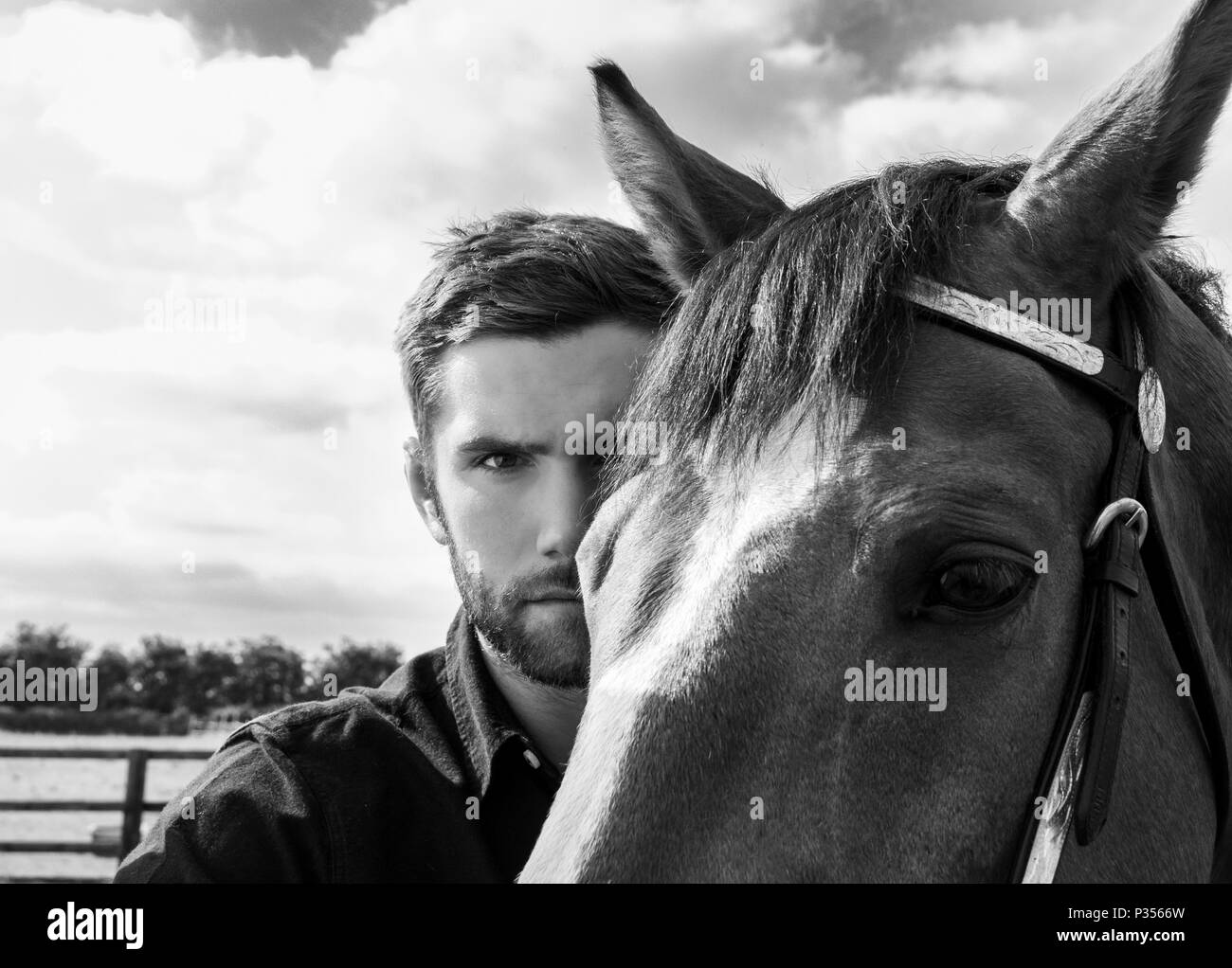 Good looking, hunky cowboy rides horse with boots, chequered shirt and ...