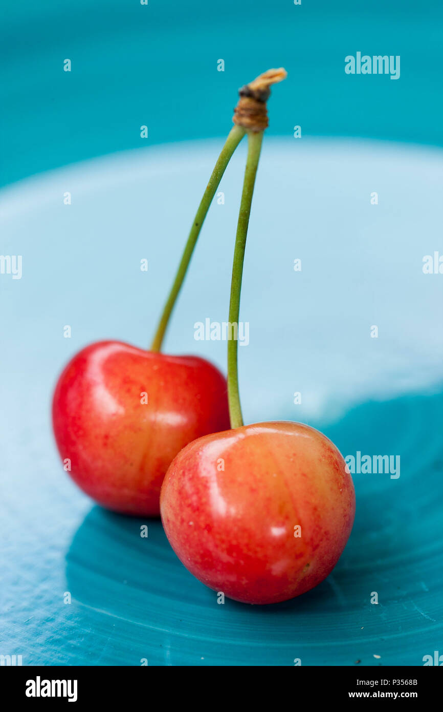 tabel full of bigarreau napoleon cherries, fresh healthy fruit Stock ...