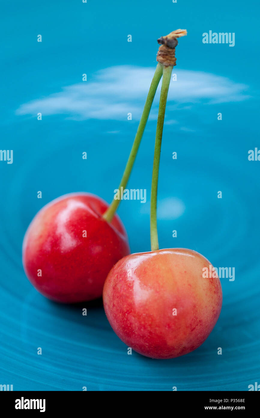 tabel full of bigarreau napoleon cherries, fresh healthy fruit Stock ...