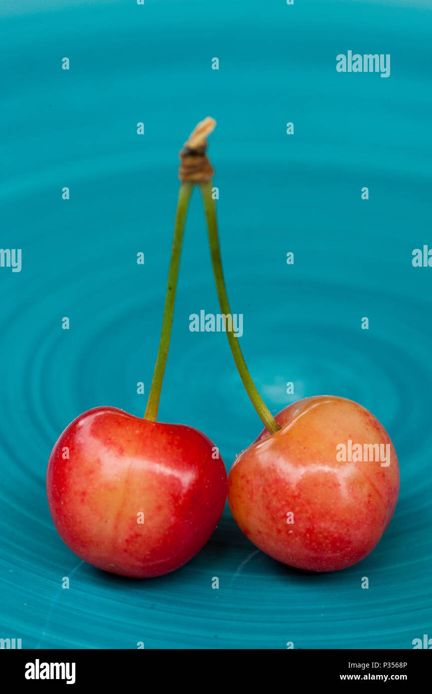 tabel full of bigarreau napoleon cherries, fresh healthy fruit Stock ...