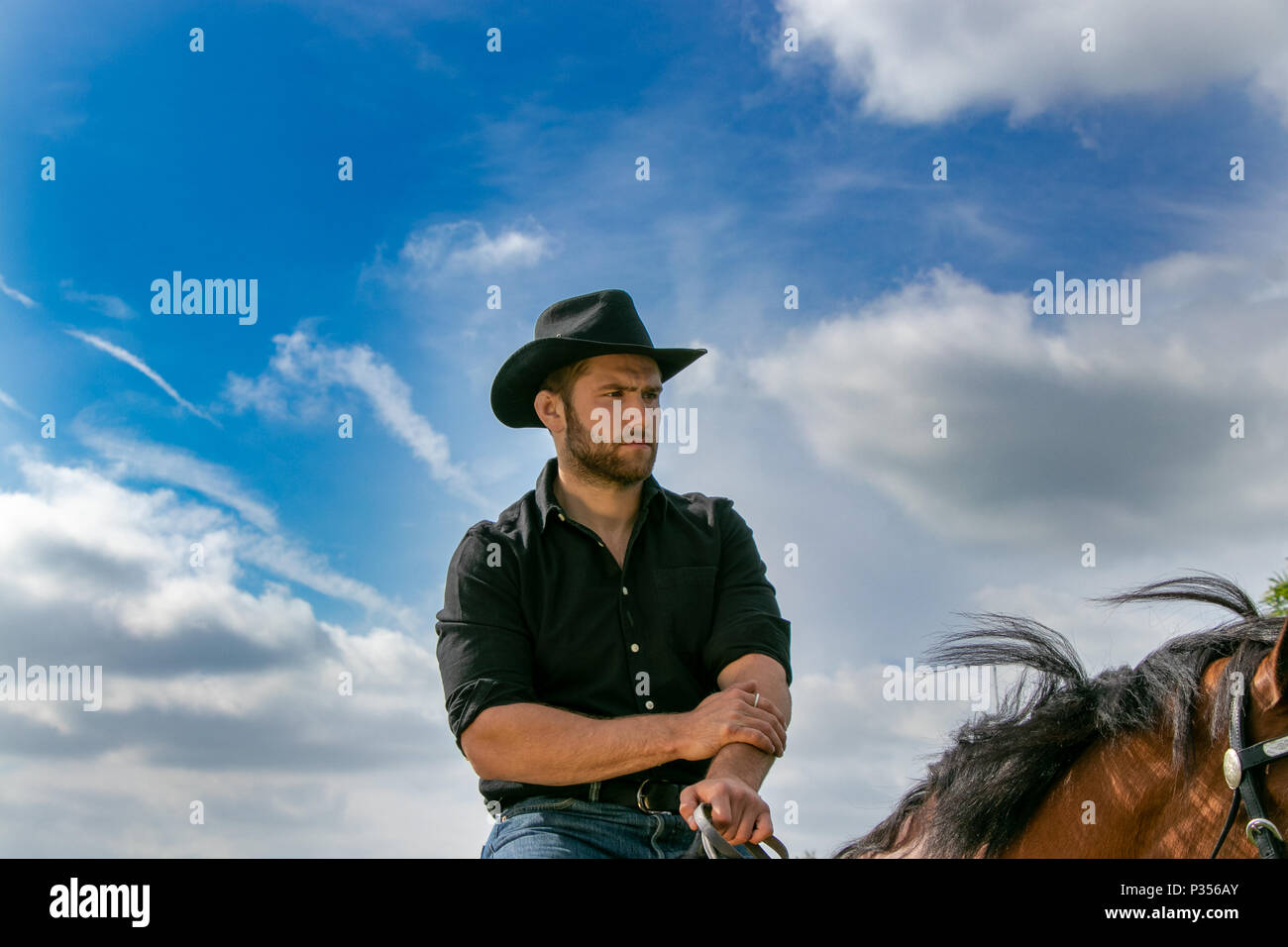 Good looking, hunky cowboy rides horse with boots, chequered shirt and ...
