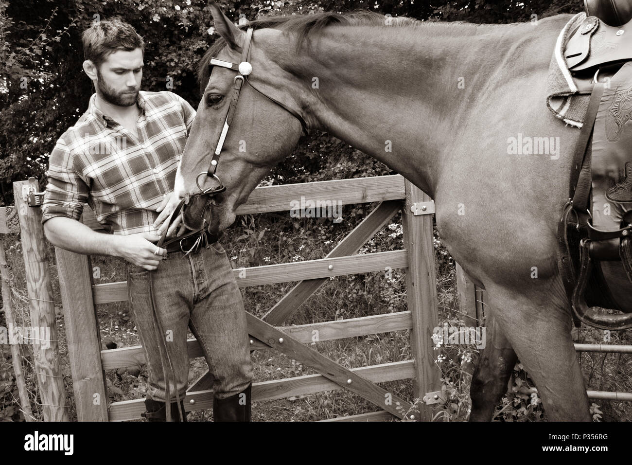 Good Looking Hunky Cowboy High Resolution Stock Photography and Images ...