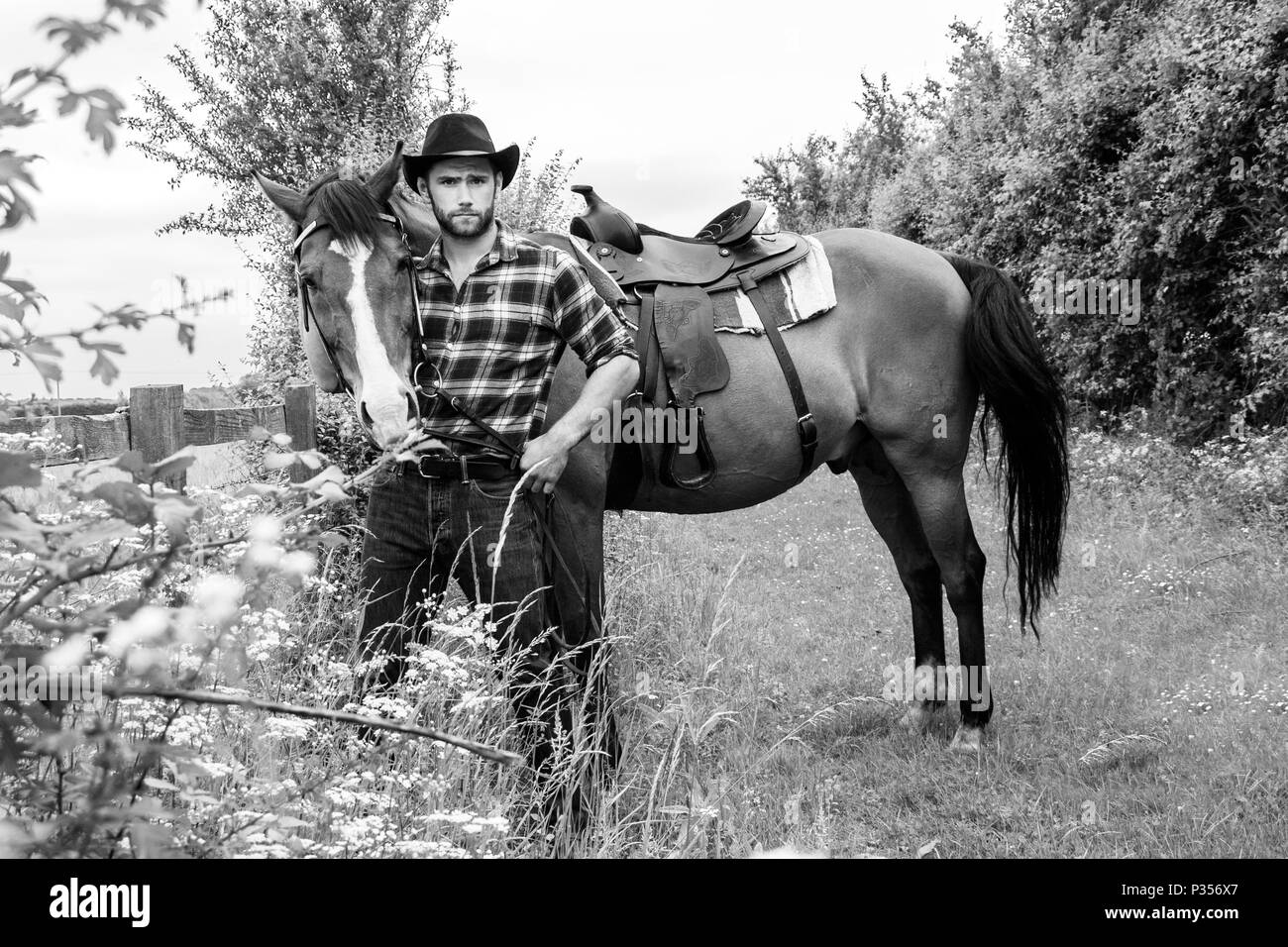 Good looking, hunky cowboy rides horse with boots, chequered shirt and ...