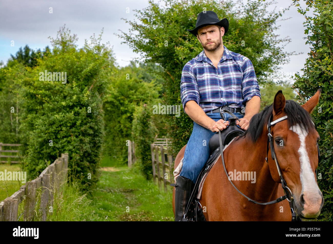 Good looking, hunky cowboy rides horse with boots, chequered shirt and ...
