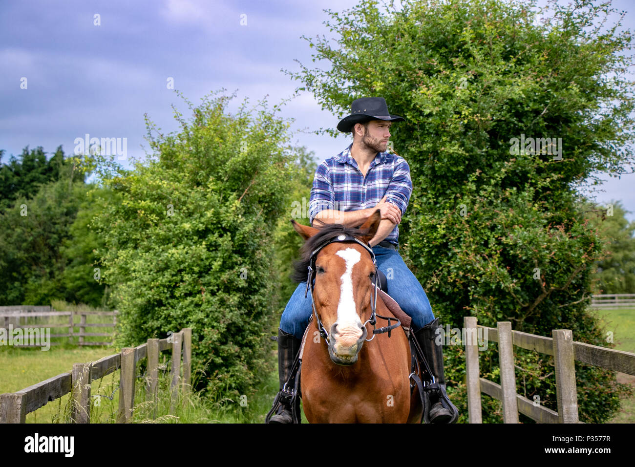 Good looking, hunky cowboy rides horse with boots, chequered shirt and ...