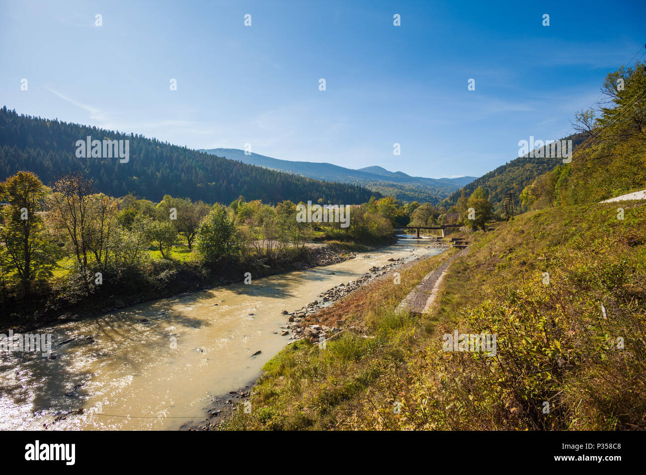 Prut River and Forest in the Carpathian Mountains near Vorokhta ...