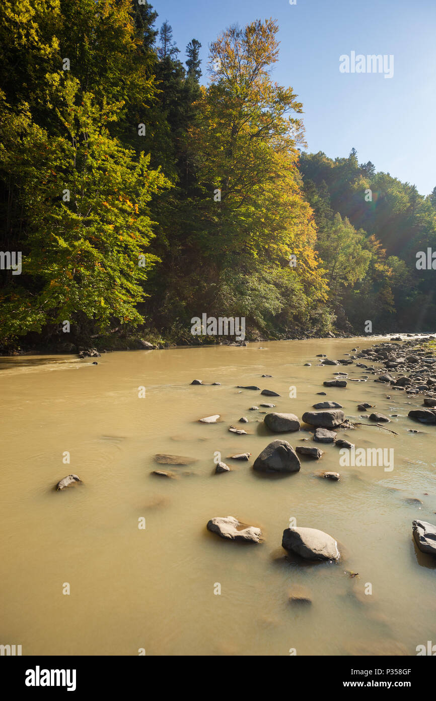 Prut River and Forest in the Carpathian Mountains near Vorokhta ...