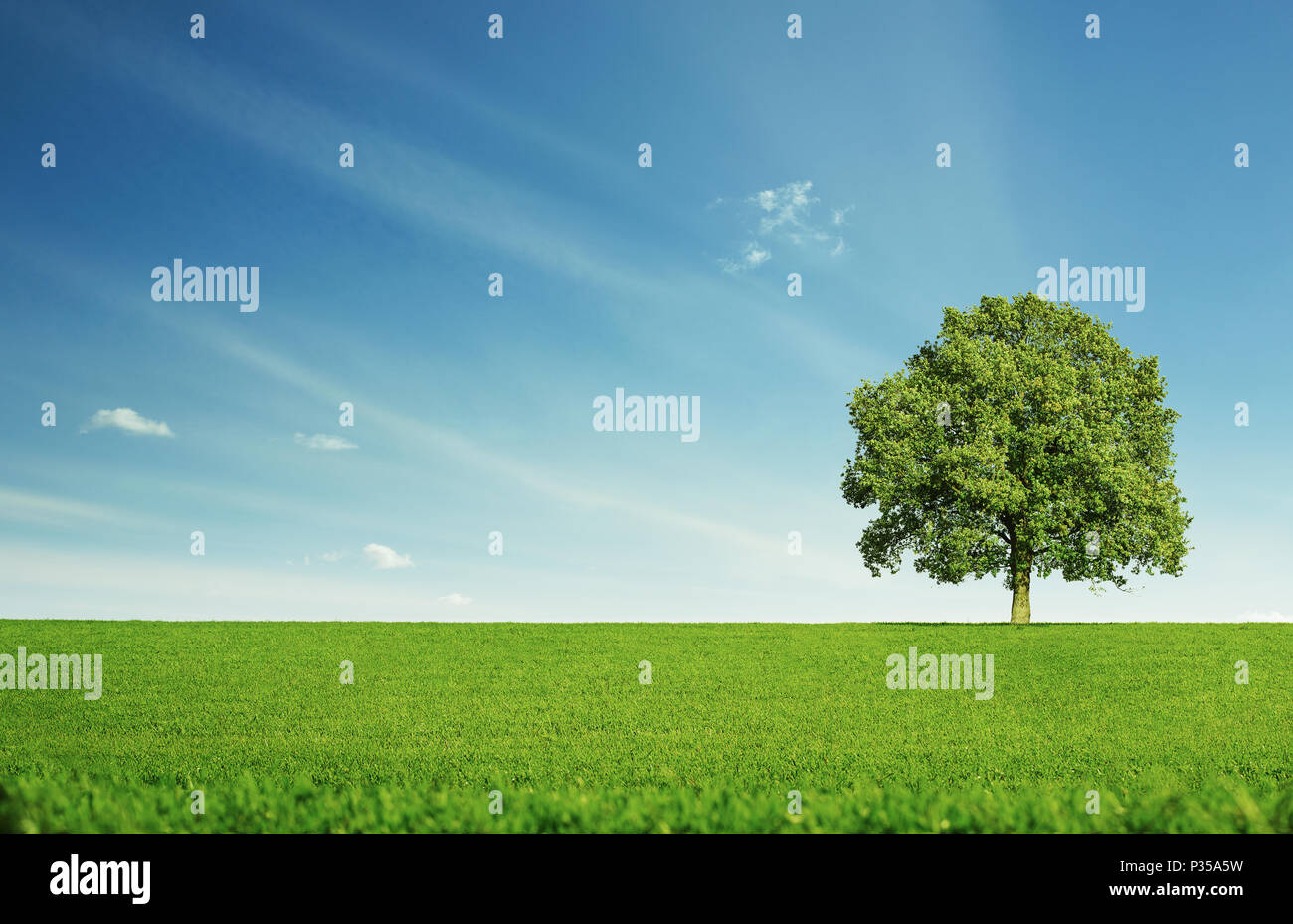Empty green field hi-res stock photography and images - Alamy
