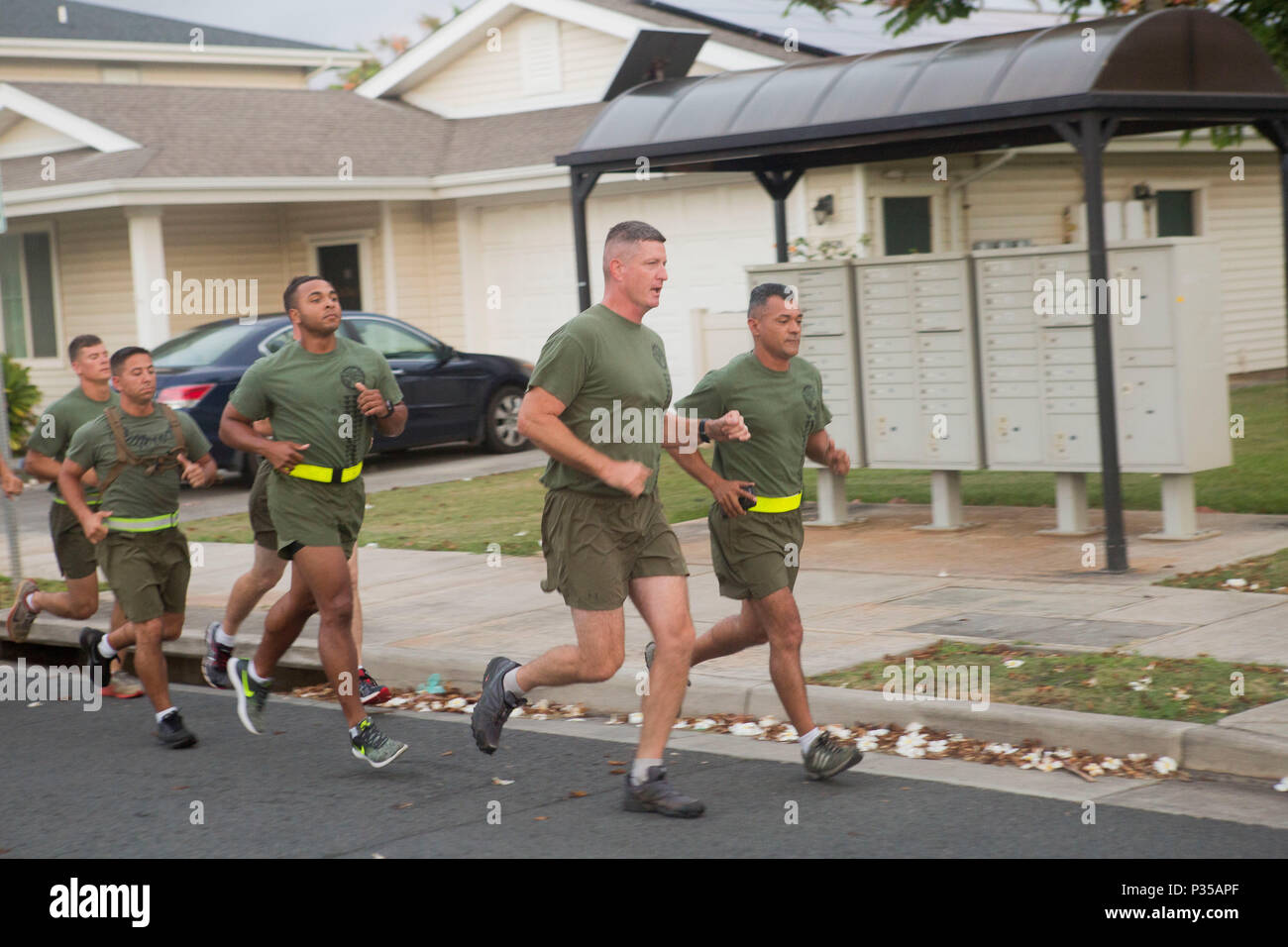 U.S. Marine Corps Lt. Col. Benjamin Harrison, commanding officer, 1st ...