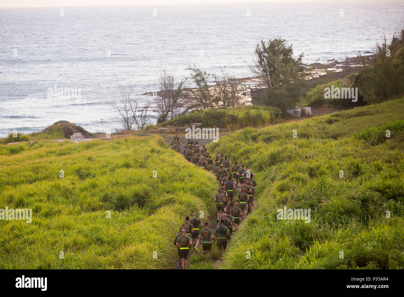 U.S. Marine Corps Lt. Col. Benjamin Harrison, commanding officer, 1st ...