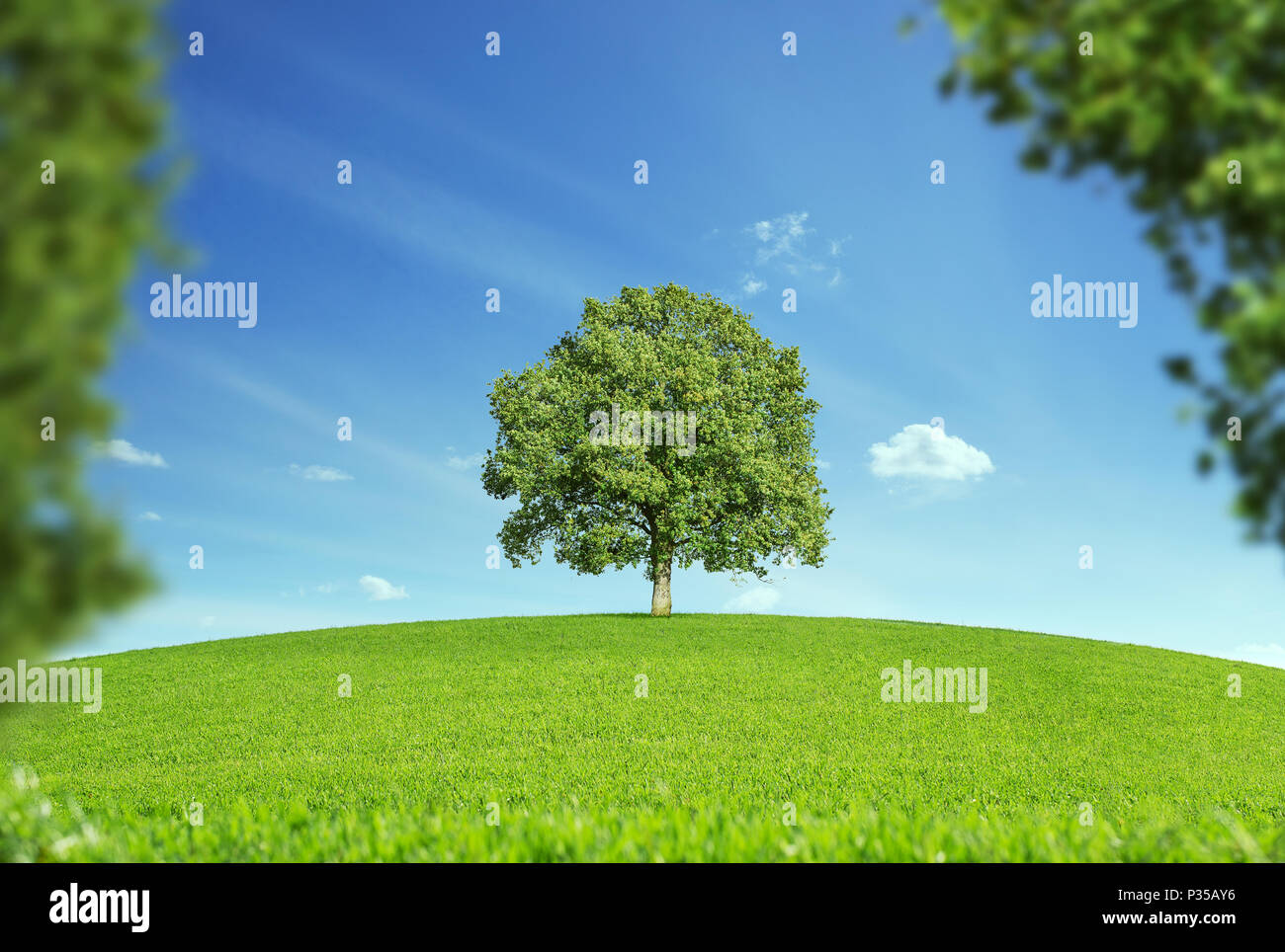 Empty green field hi-res stock photography and images - Alamy