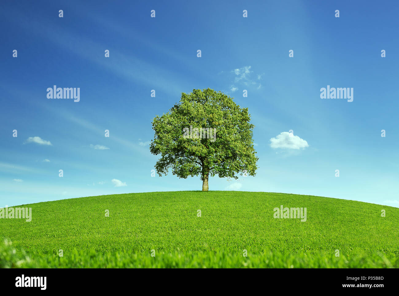 Empty green field hi-res stock photography and images - Alamy