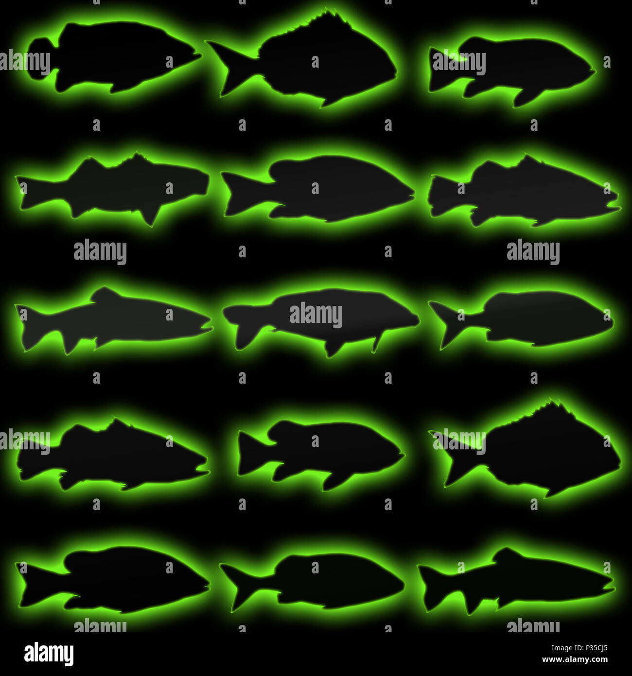 Fish species chart hi-res stock photography and images - Alamy
