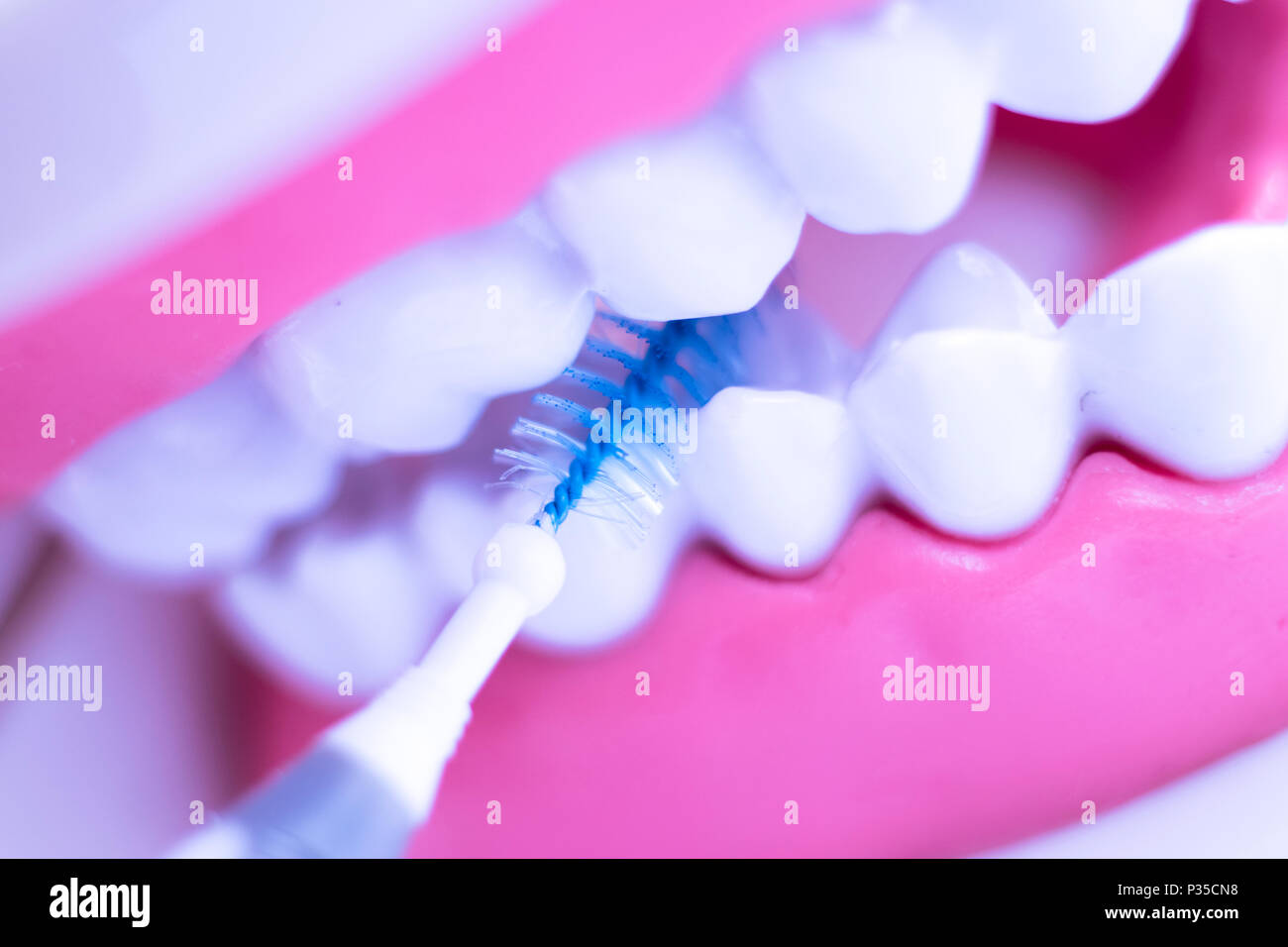 Inter dental teeth cleaning brush healthy floss action between each ...