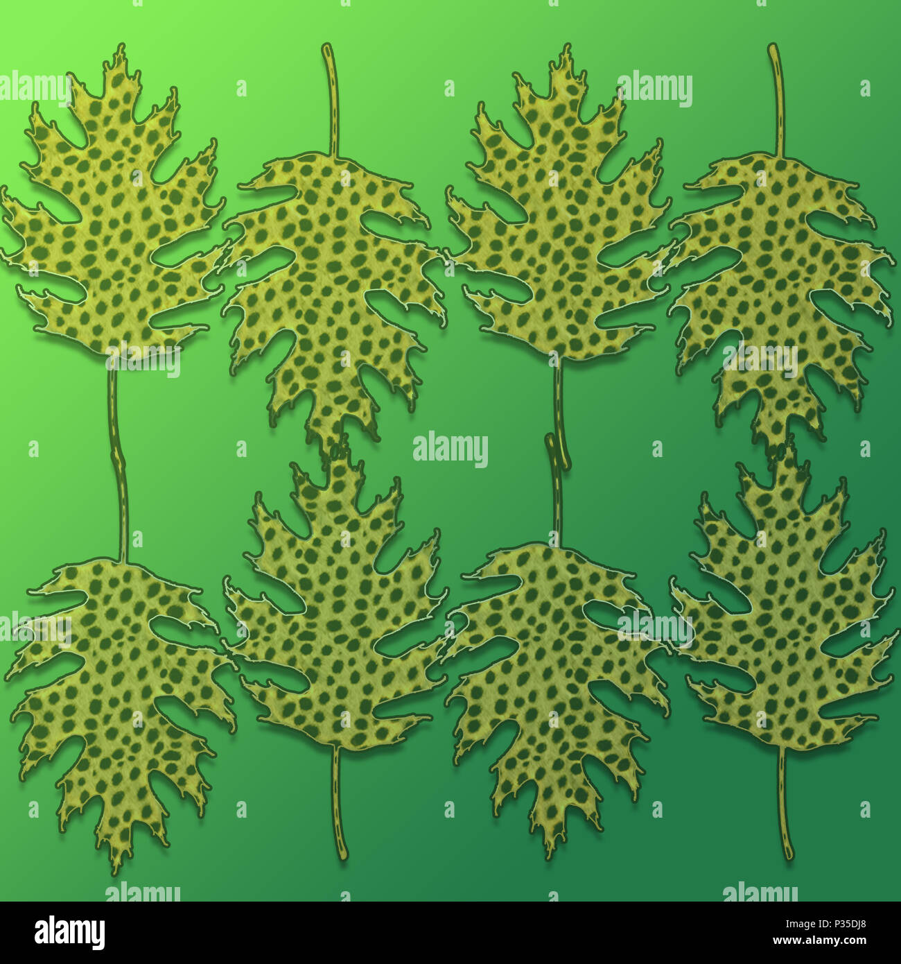 Digitally enhanced image of a multi oak leaf pattern on green ...