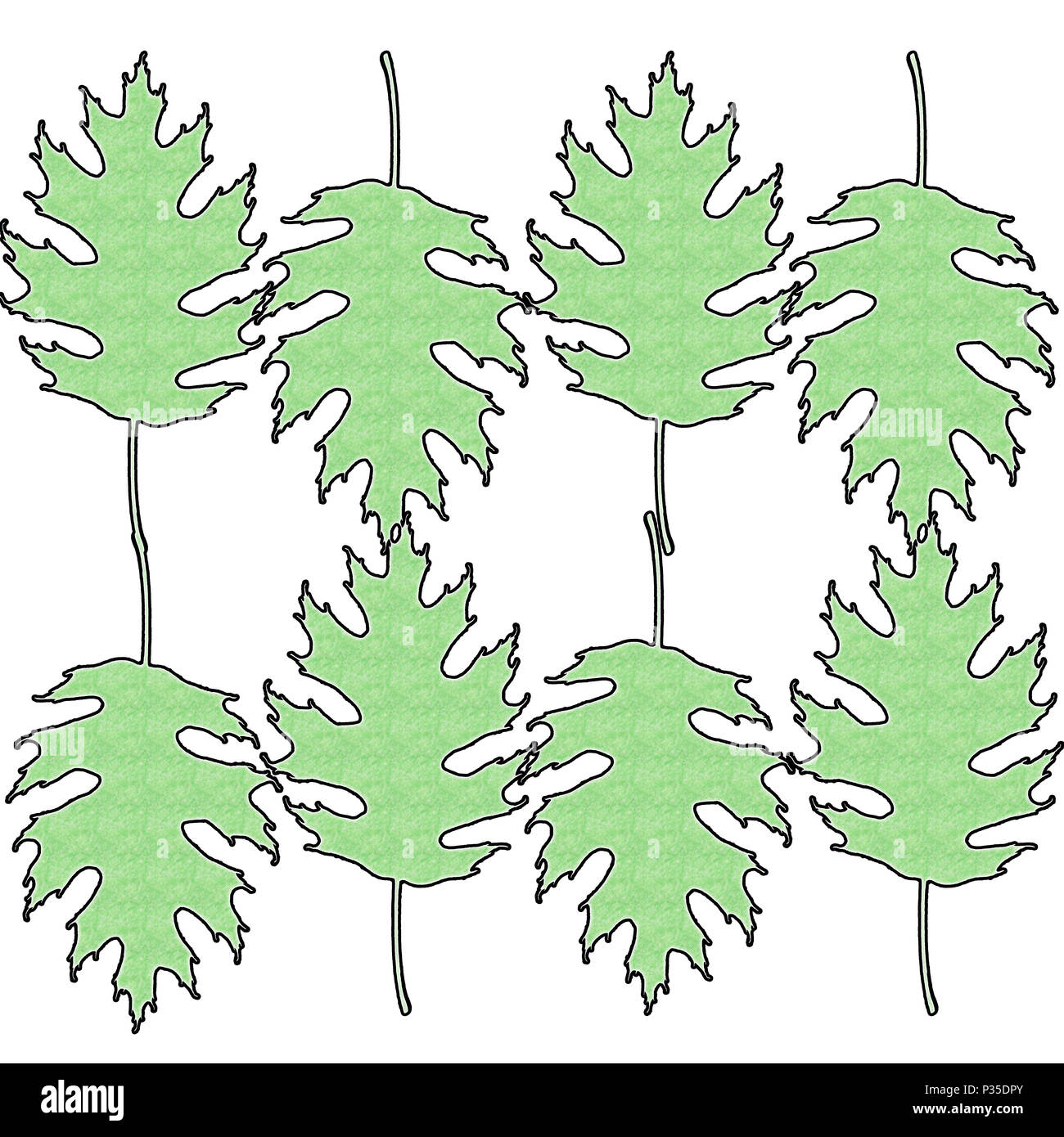 Digitally enhanced image of a multi oak leaf pattern on white ...