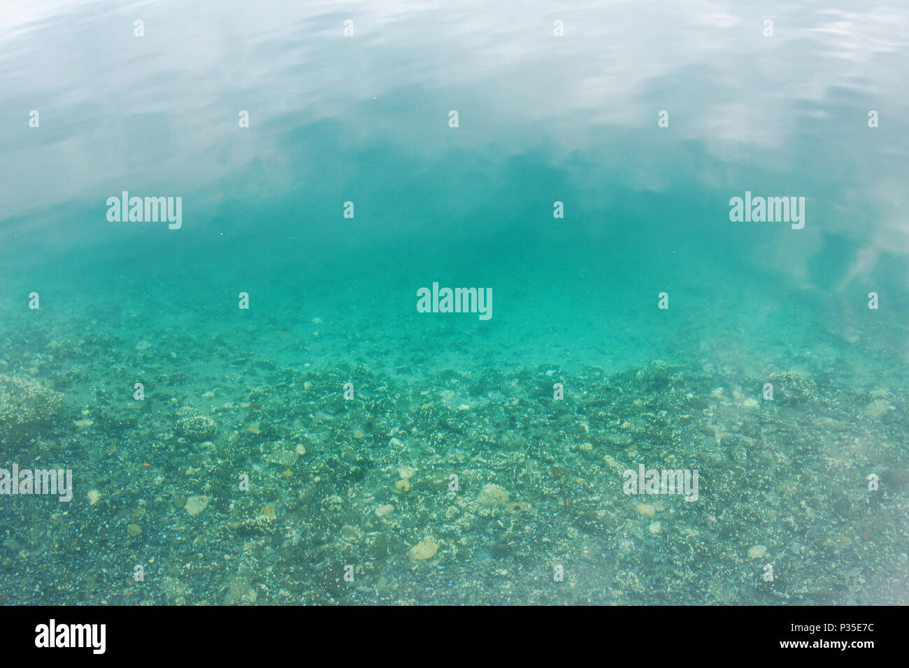 Crystal clear water in the harbour of Honningsvåg, Norway Stock Photo ...
