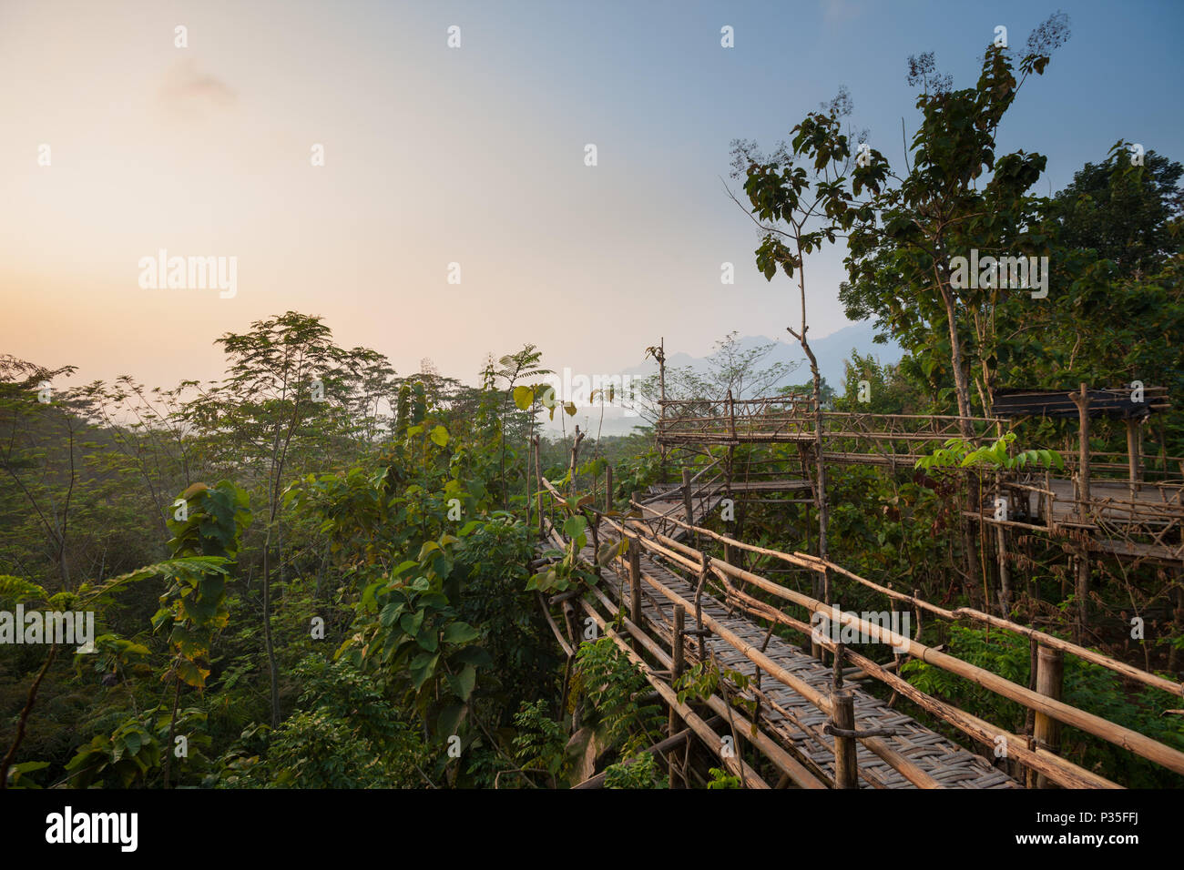 Bamboo walkway in the jungles of central Java, Indonesia Stock Photo ...