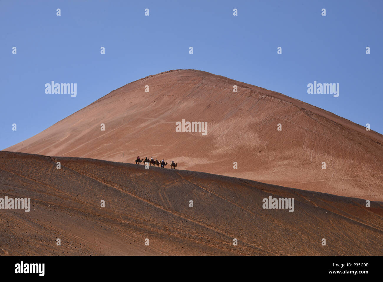 Taklamakan Desert Camels High Resolution Stock Photography and Images - Alamy