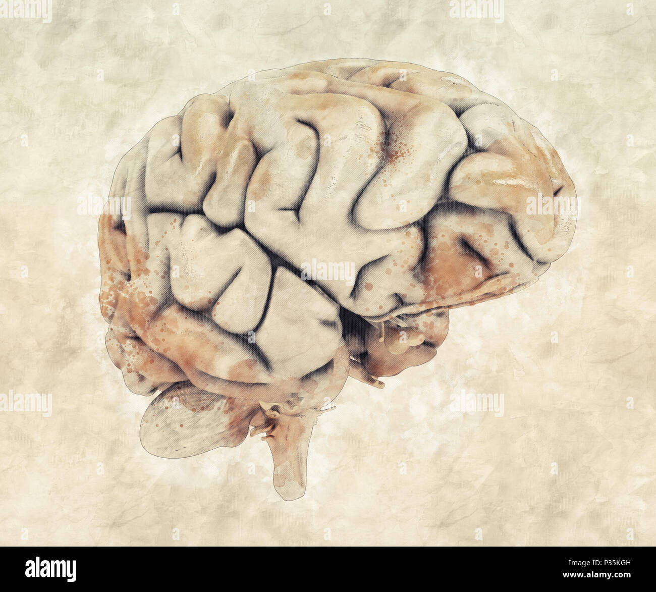 Abstract sketched design of a Human Brain with watercolor splatters ...