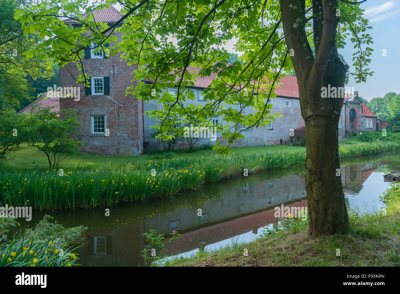 Hage hi-res stock photography and images - Alamy