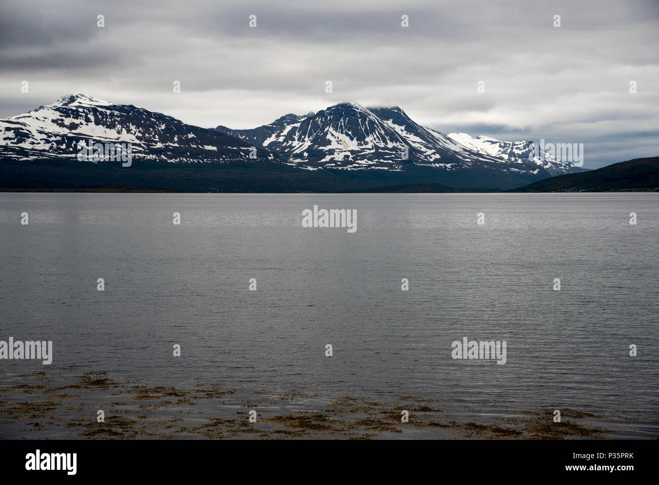 Tromsø is the largest urban area in Northern Norway surrounded by ...