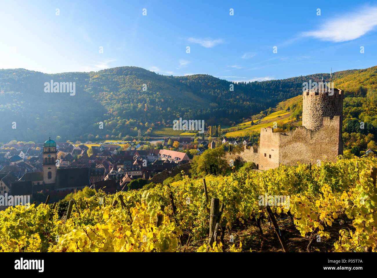 Ruin and Tower at Chateau de Kaysersberg - Watchtower at village in ...