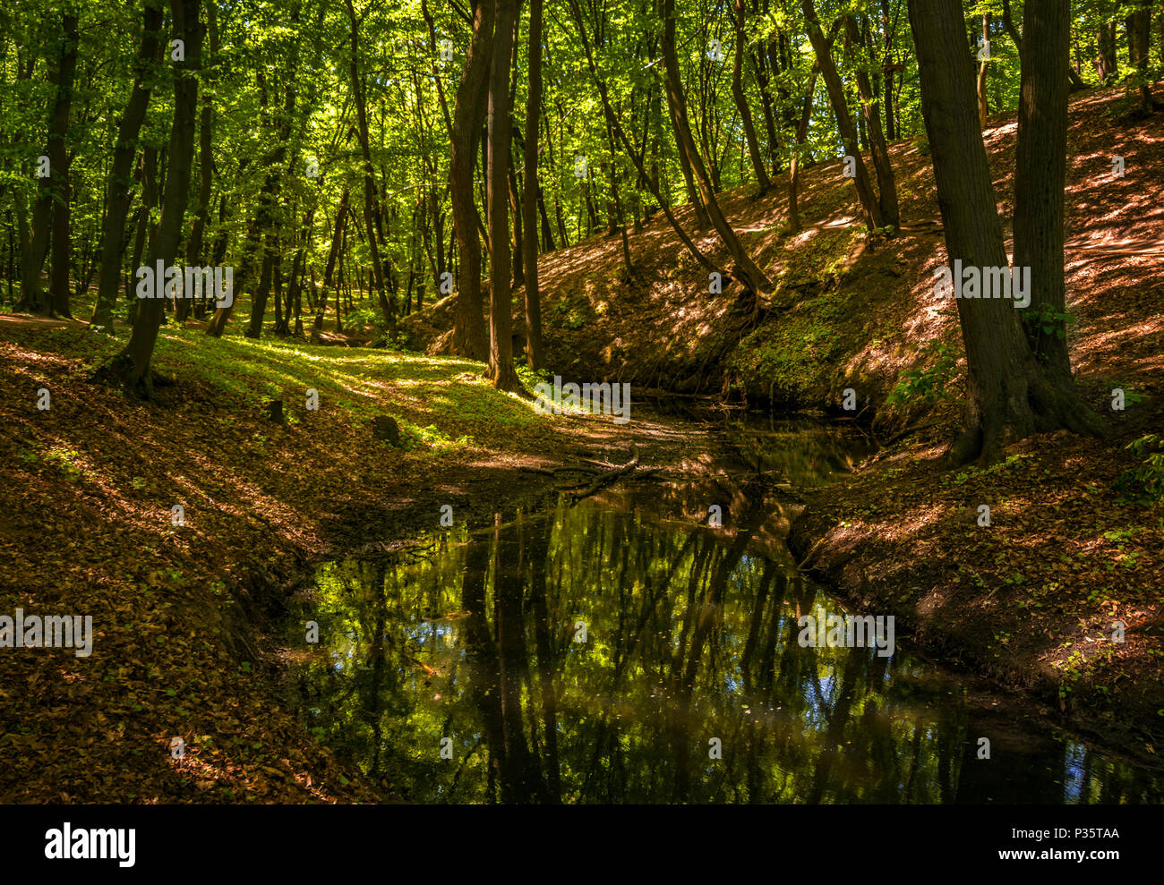 Nice beautiful nature landscape hi-res stock photography and images - Alamy