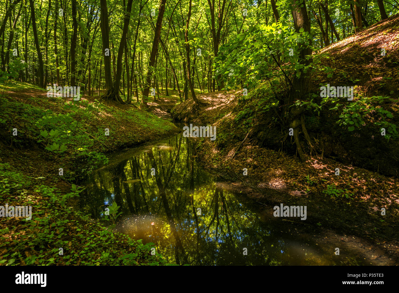 Coolness scenery background hi-res stock photography and images - Alamy