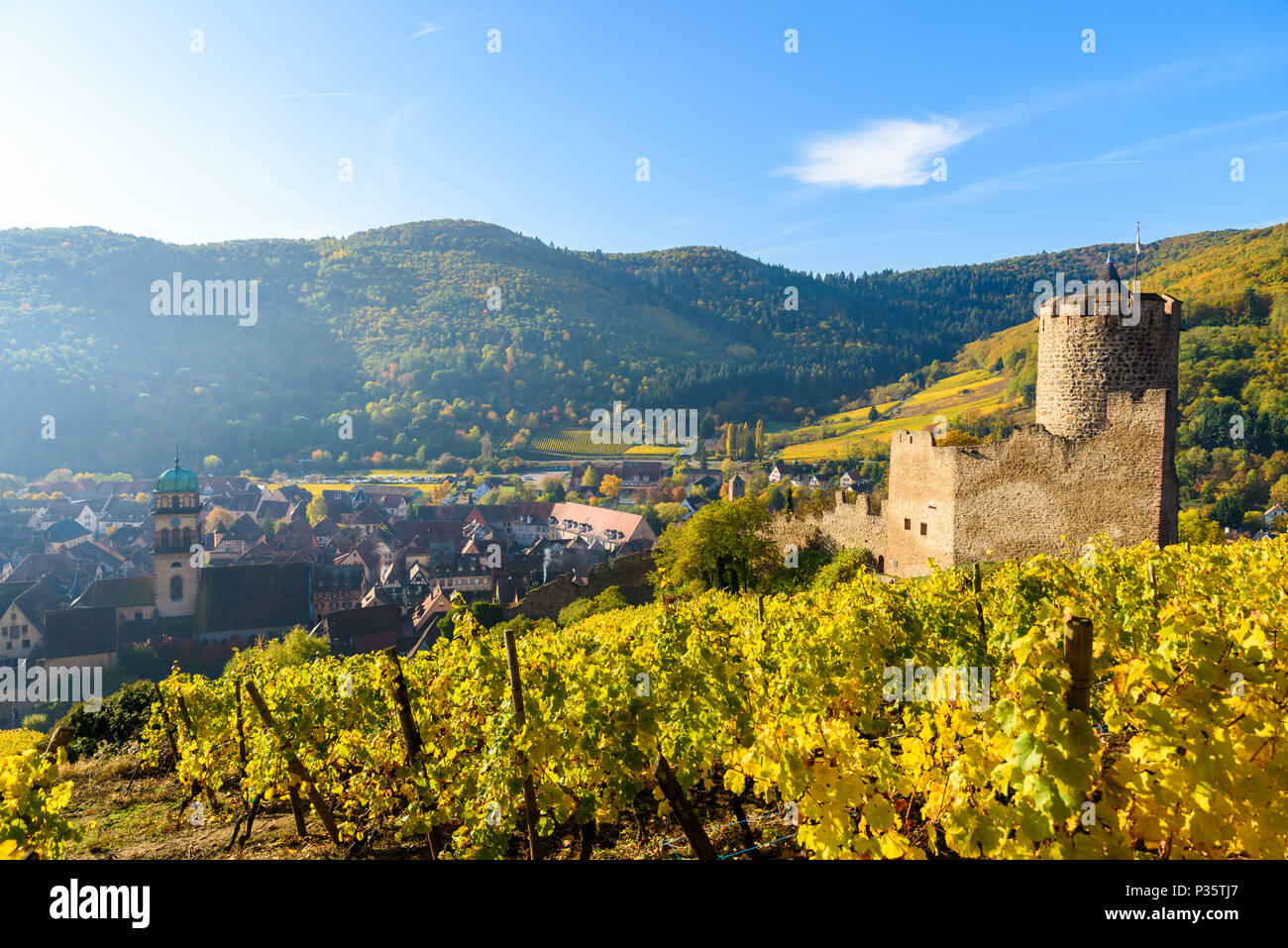 Kaysersberg ruin tower hi-res stock photography and images - Alamy