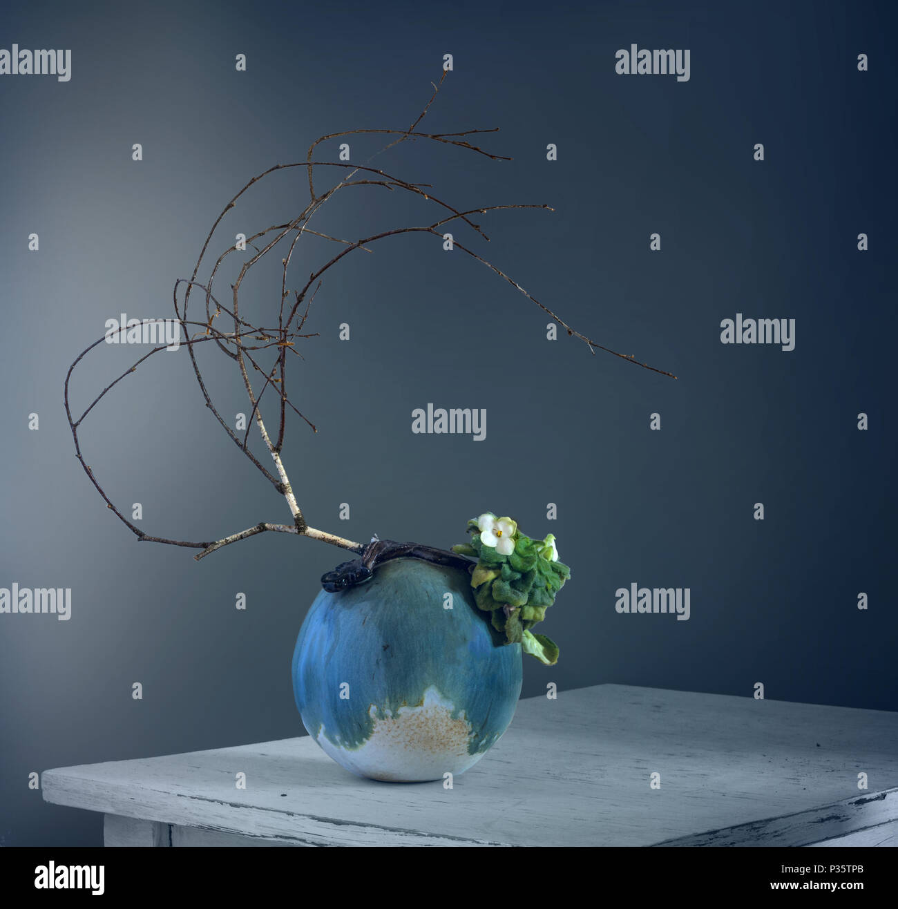 minimalism in still life. vintage. branch Stock Photo - Alamy