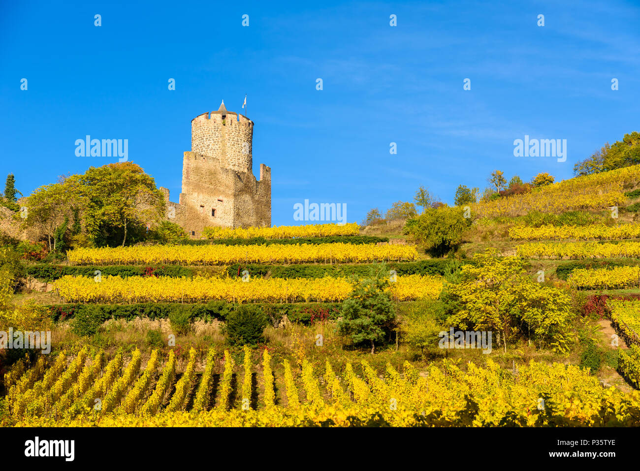 Vineyard watchtower hi-res stock photography and images - Alamy