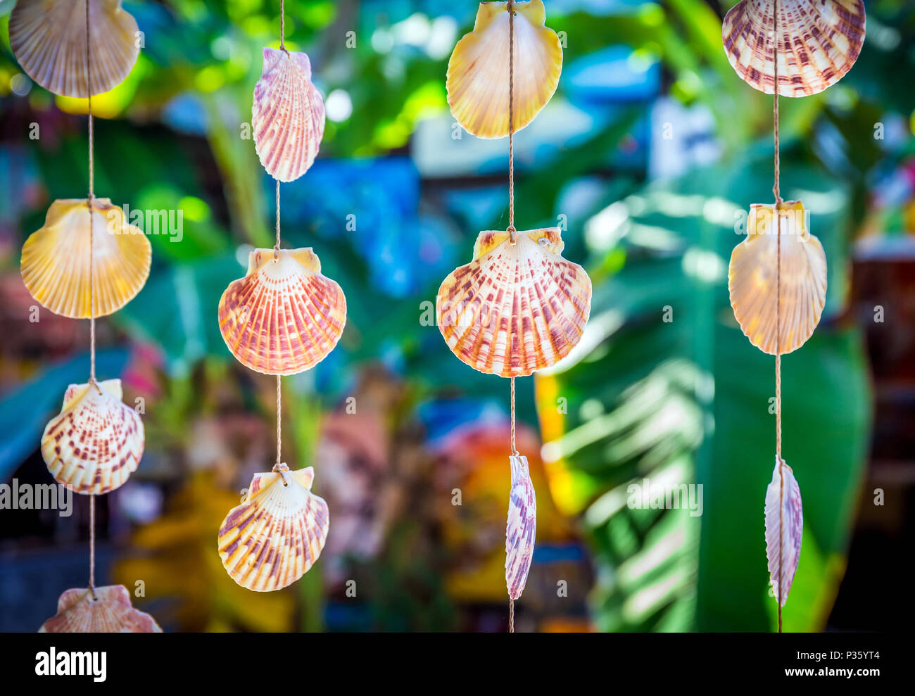 Sea shells souvenirs somewhere in Dominican Republic Stock Photo - Alamy