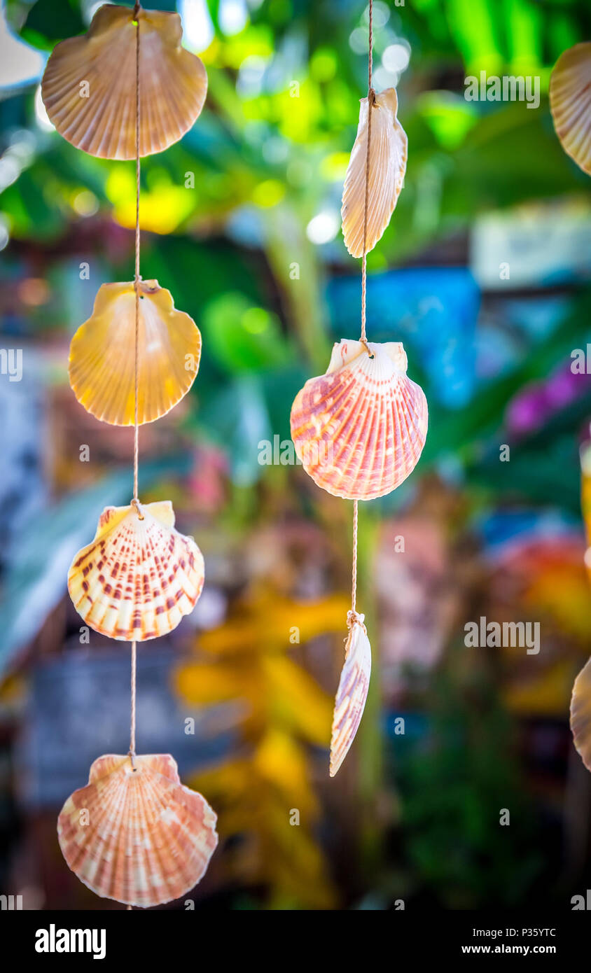 Sea shells souvenirs somewhere in Dominican Republic Stock Photo - Alamy