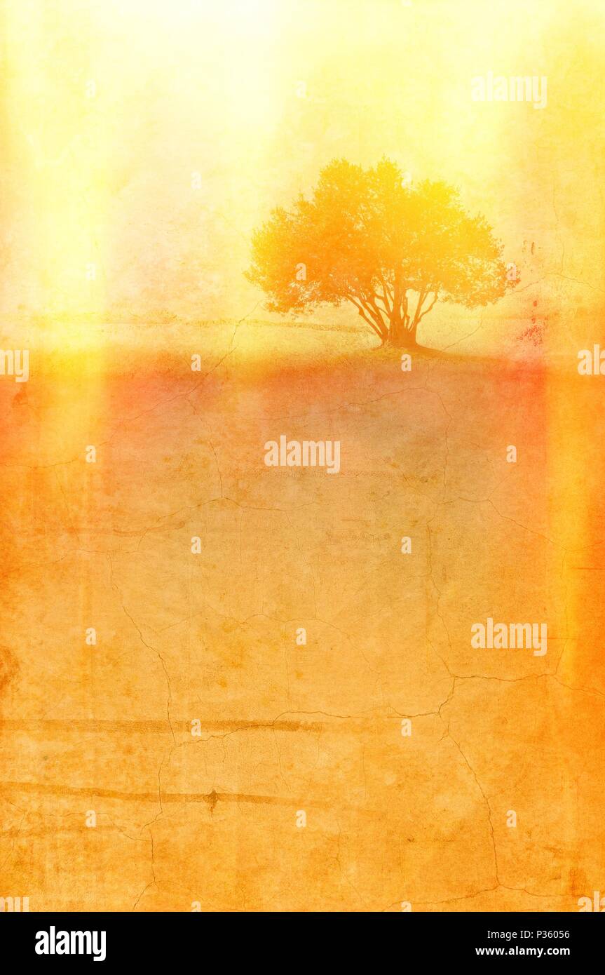 Vintage single tree in surreal landscape with fire and flames effects ...