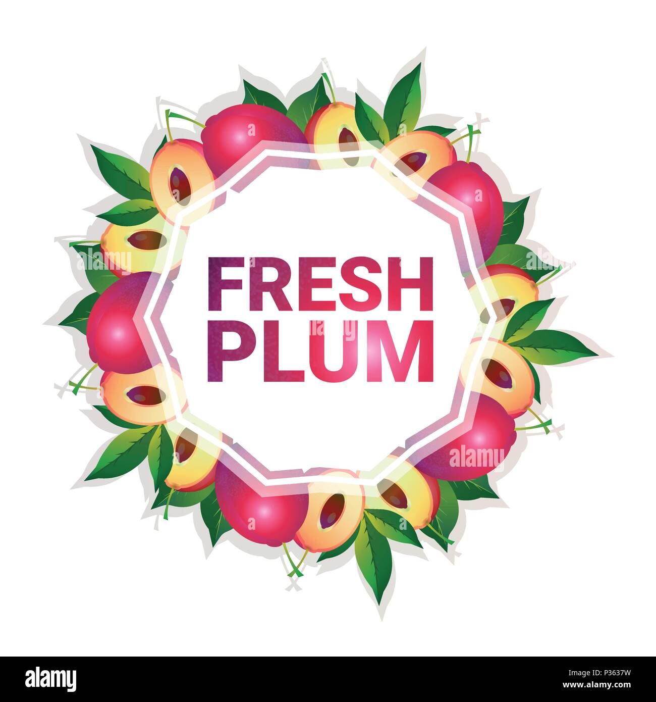 plum fruit colorful circle copy space organic over white pattern ...