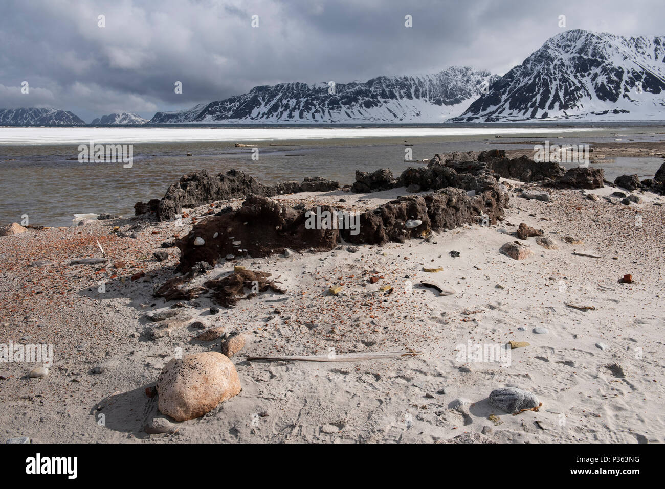 Norway, Svalbard, Spitsbergen, Amsterdam Island aka Amsterdamoya ...