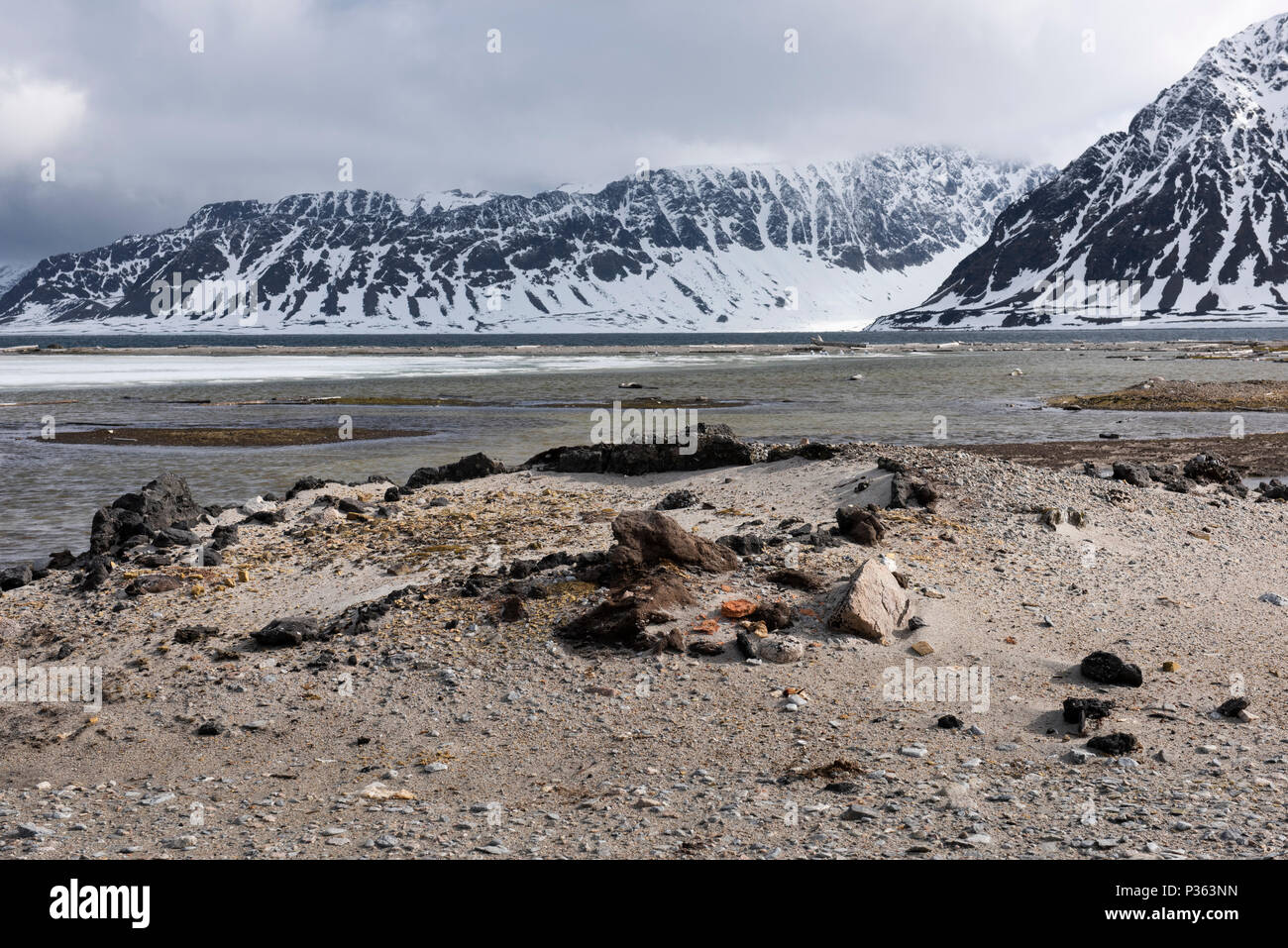Norway, Svalbard, Spitsbergen, Amsterdam Island aka Amsterdamoya ...