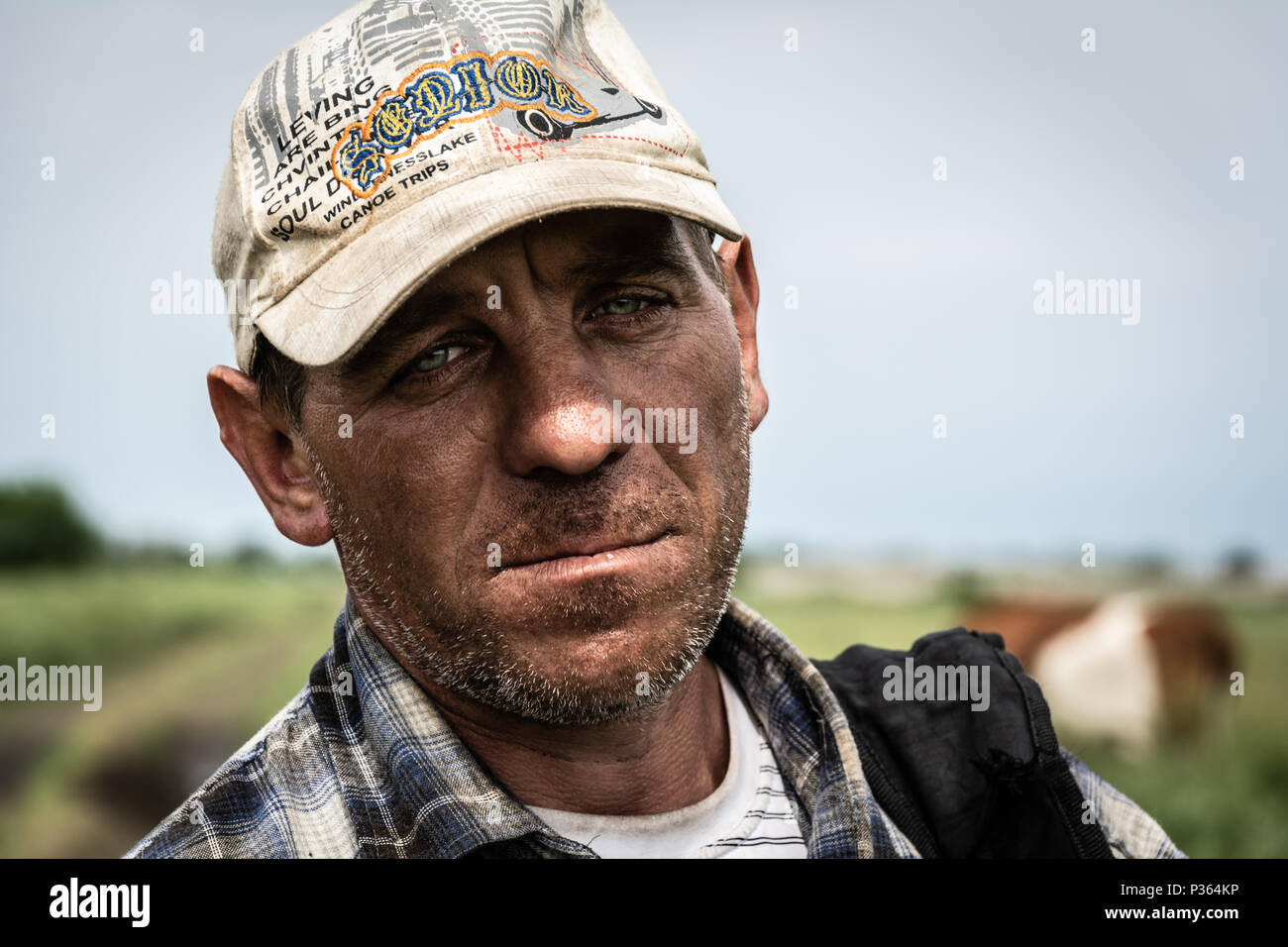 Cow shepherd hi-res stock photography and images - Alamy