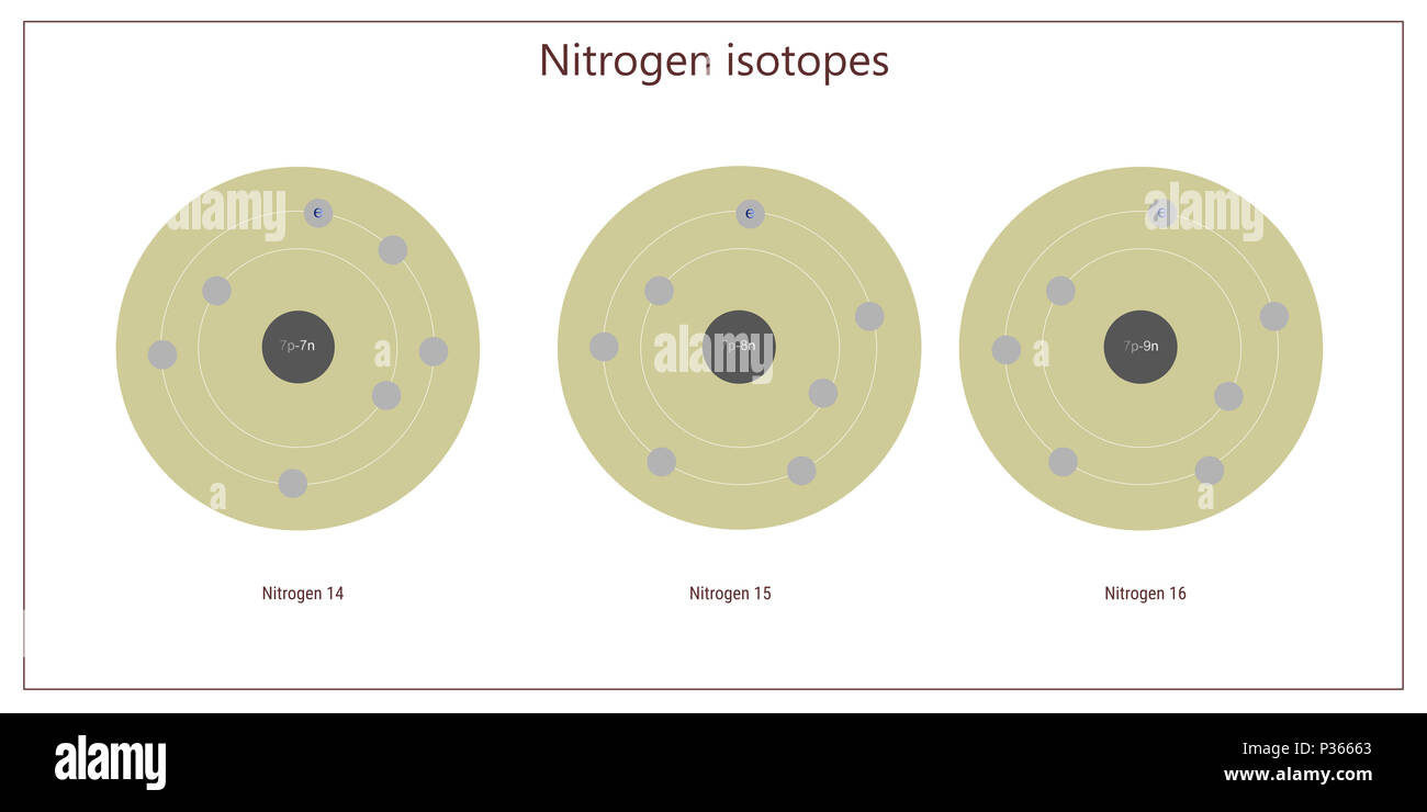 nitrogen isotopes atomic structure - elementary particles physics ... nitrogen isotopes atomic structure - elementary particles physics ...