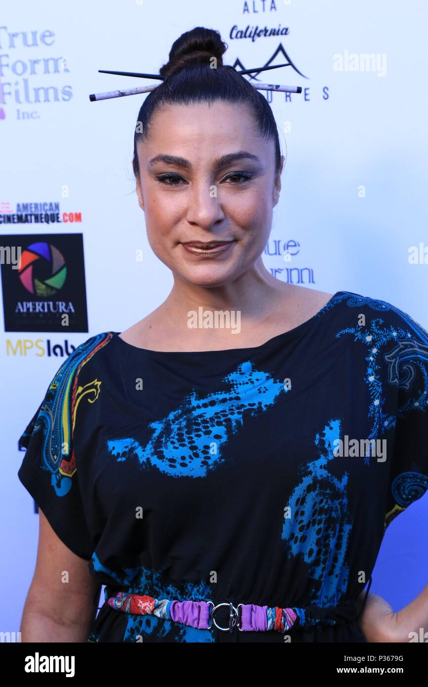 Apertura Showcase of 'El Contratista' - Arrivals Featuring: Dawn Noel ...