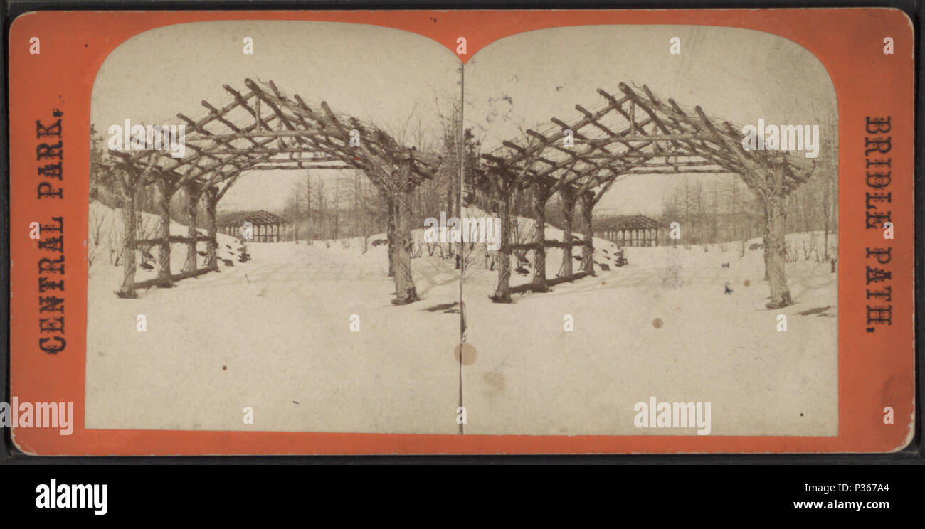 Bridle path central park hi-res stock photography and images - Alamy