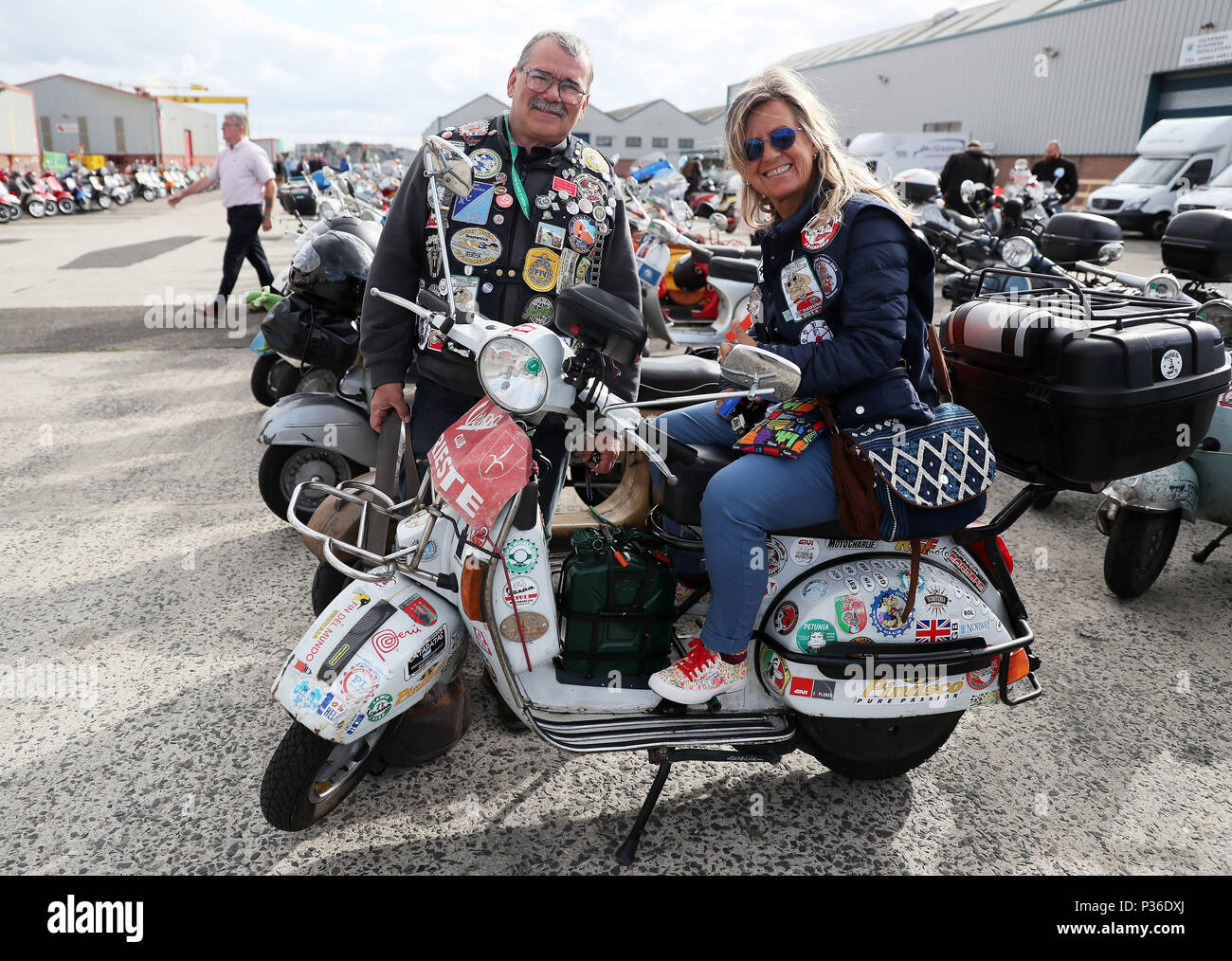 Pecarari hi-res stock photography and images - Alamy