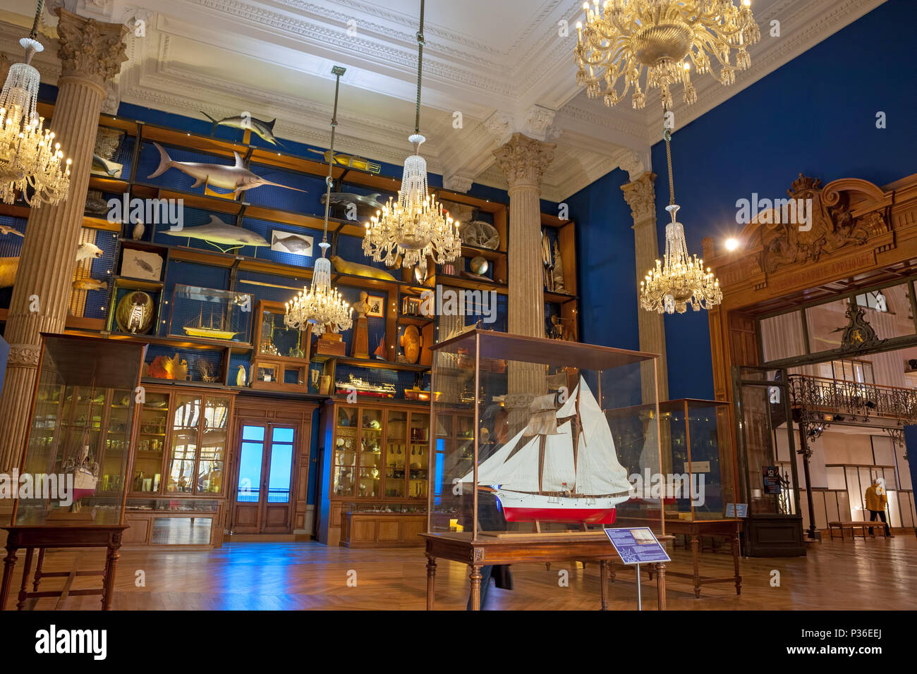 Monaco, Oceanographic Museum (Musee oceanographique) interior, cabinet ...