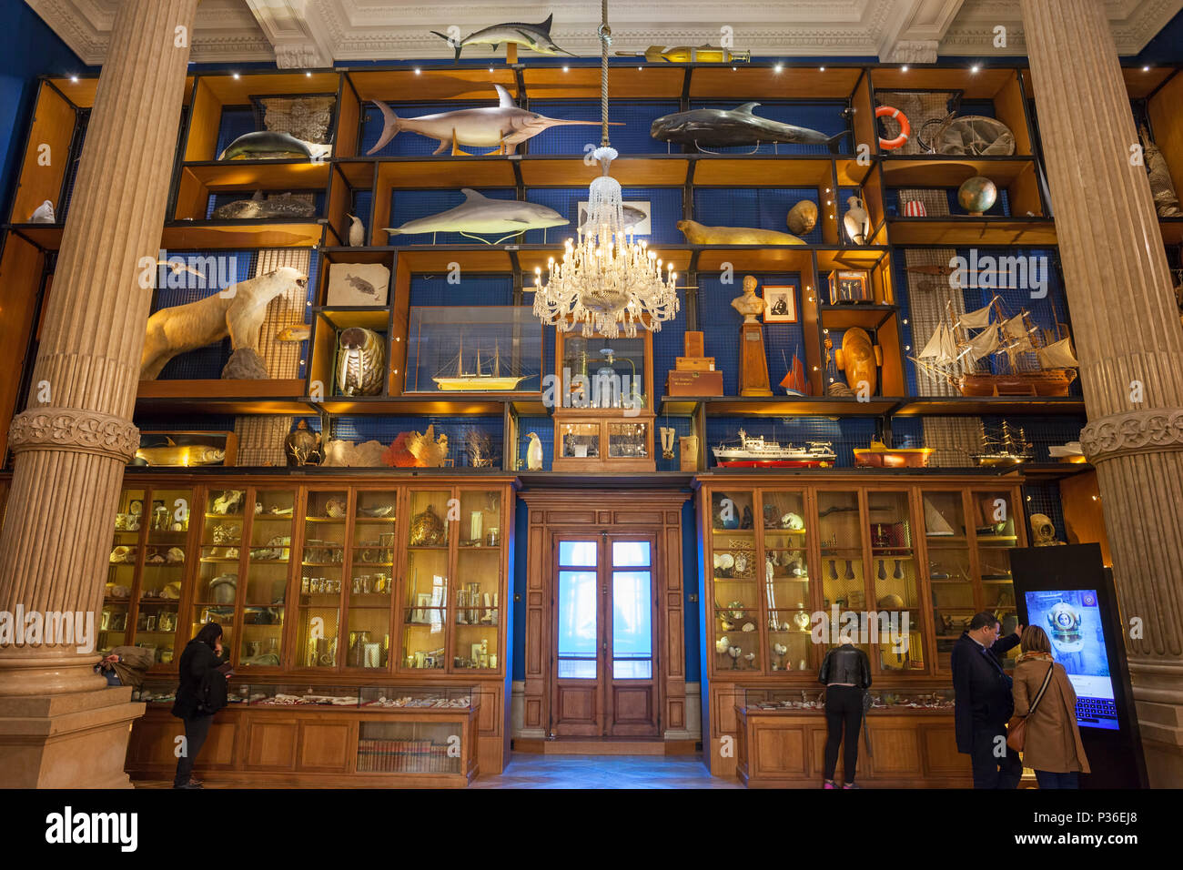 Monaco, cabinet of curiosities in Oceanographic Museum (Musee ...